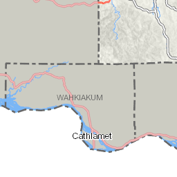 ArcGIS Web Application